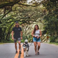 Our Howling Adventures – Beyond trails into daily tails. Join our pack ...