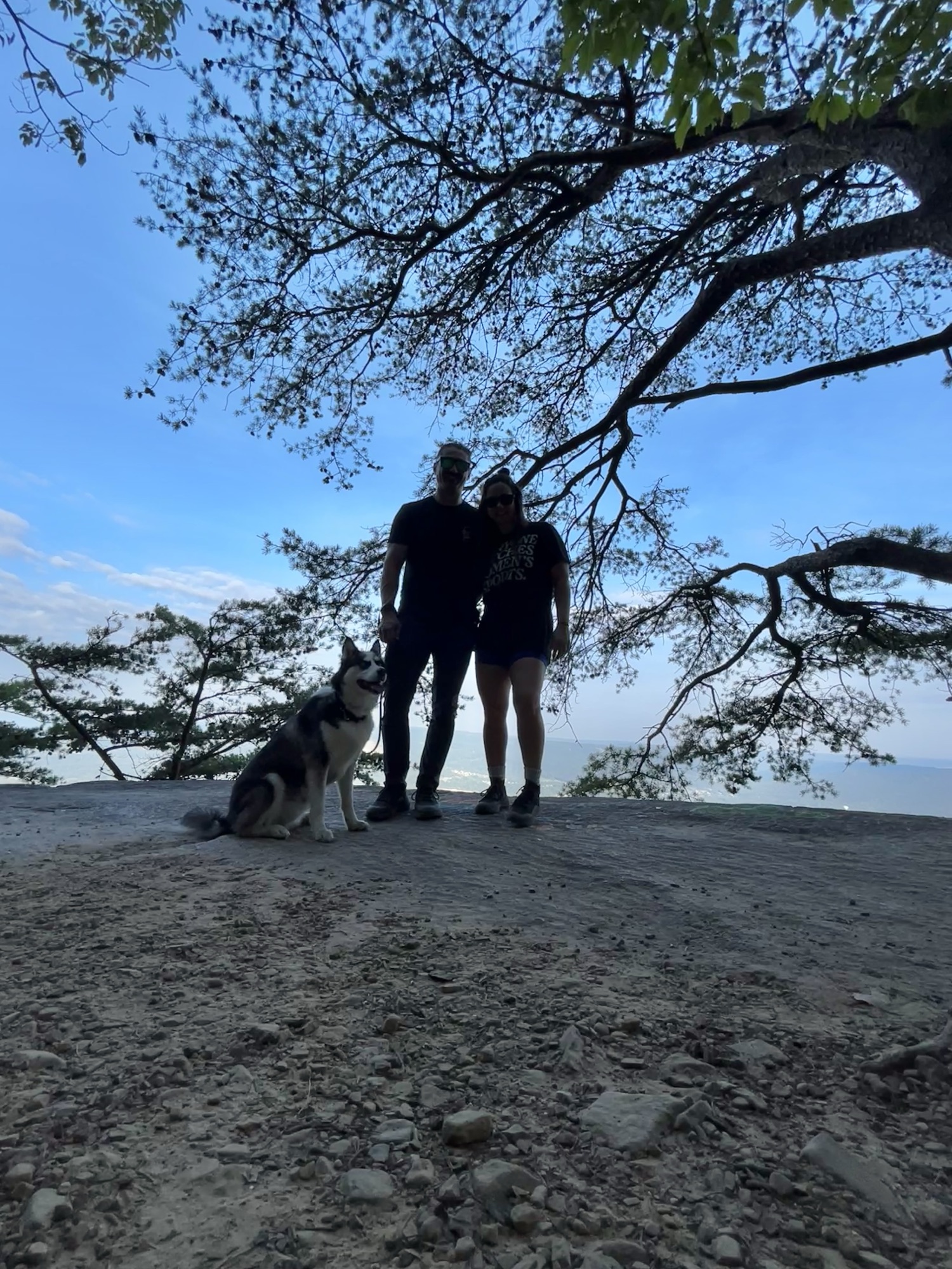 Discover Chattanooga, Tennessee: A Dog-Friendly Adventure Awaits – Our ...