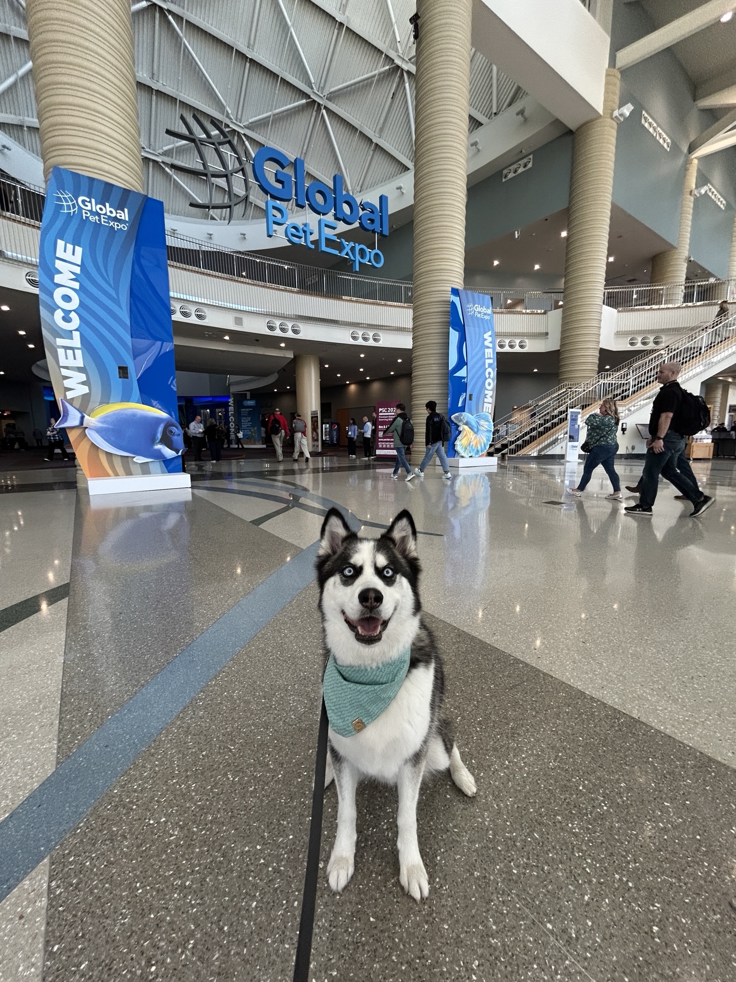 Exploring Innovation at the Global Pet Expo 2025 – Our Howling Adventures